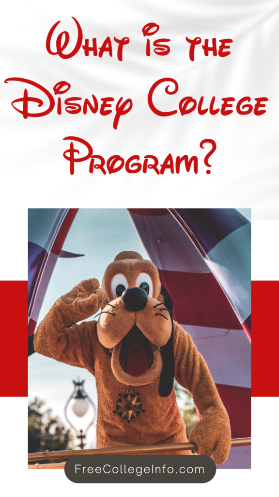 What Is The Disney College Program? - Free College Info